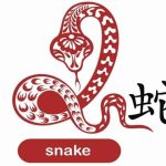 What Years Are The Snake In Chinese Zodiac - Chineseastrologyyear.com